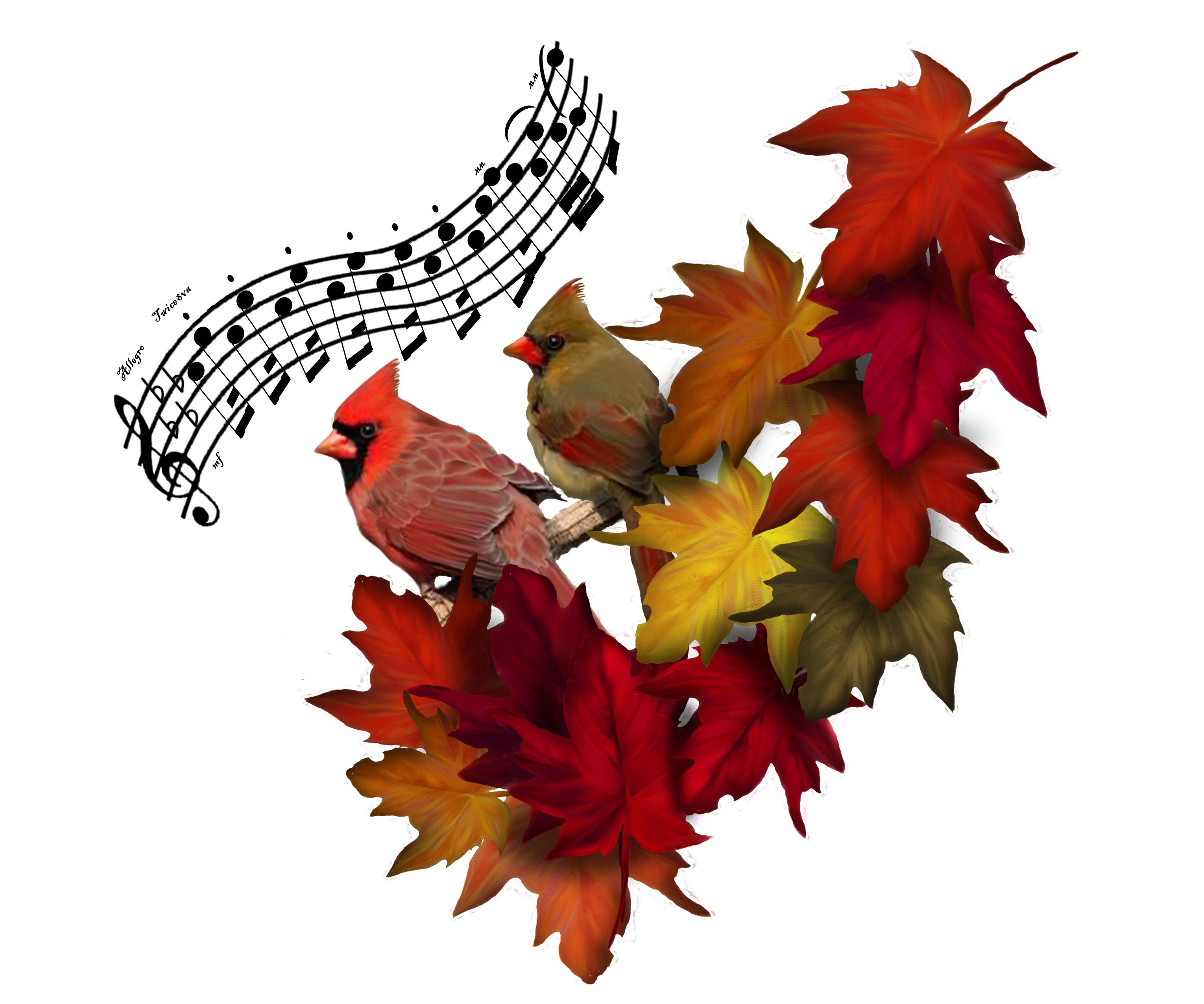 Northern Cardinal – Avian Note Art